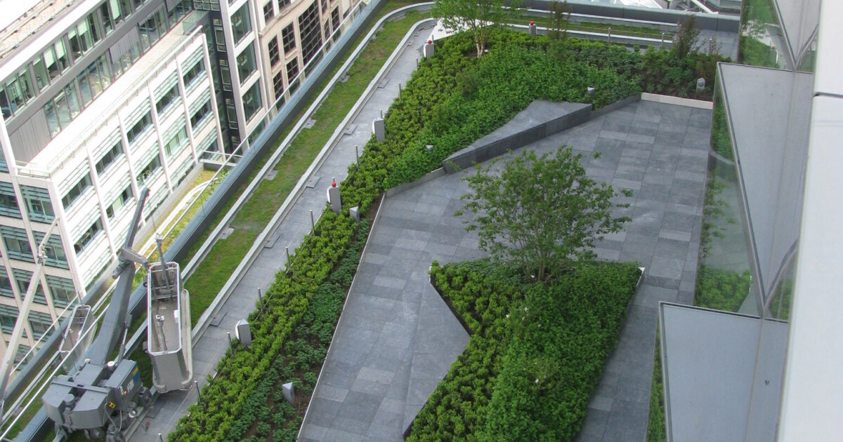 Rooftop Gardens Projects | Frosts Landscapes